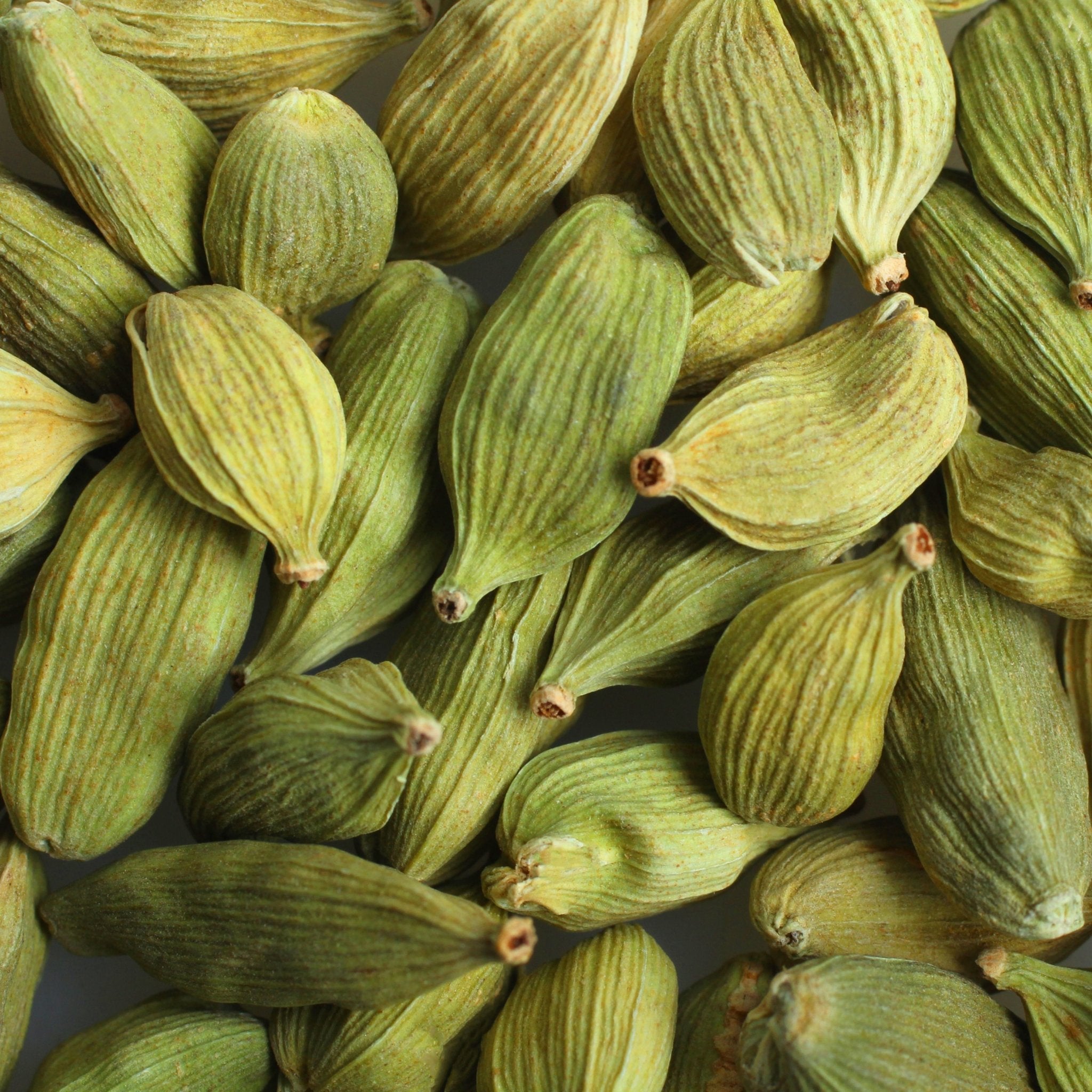 Cardamom – Sadaf.com